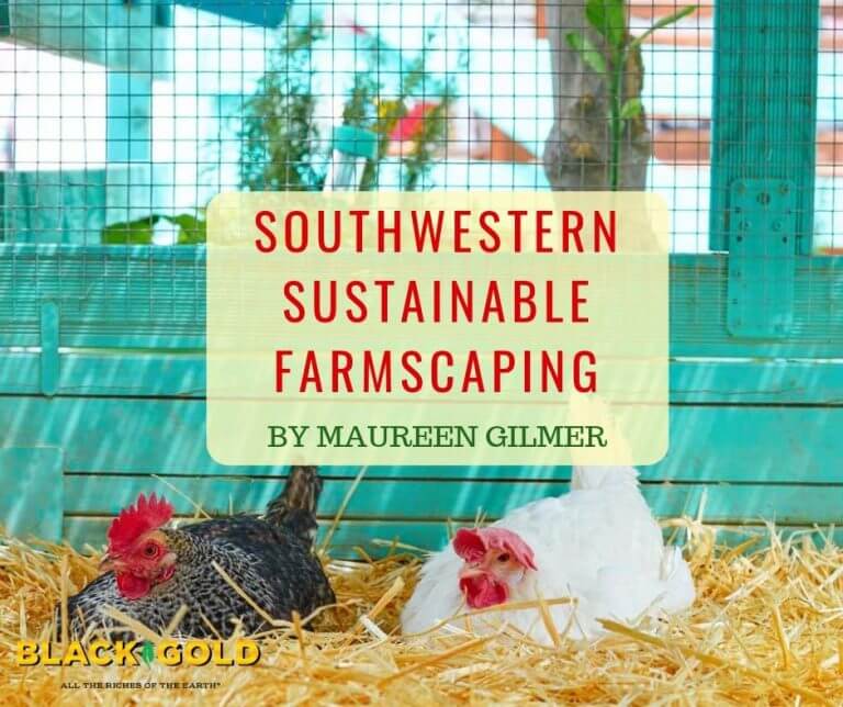Maureen Gilmer – Black Gold