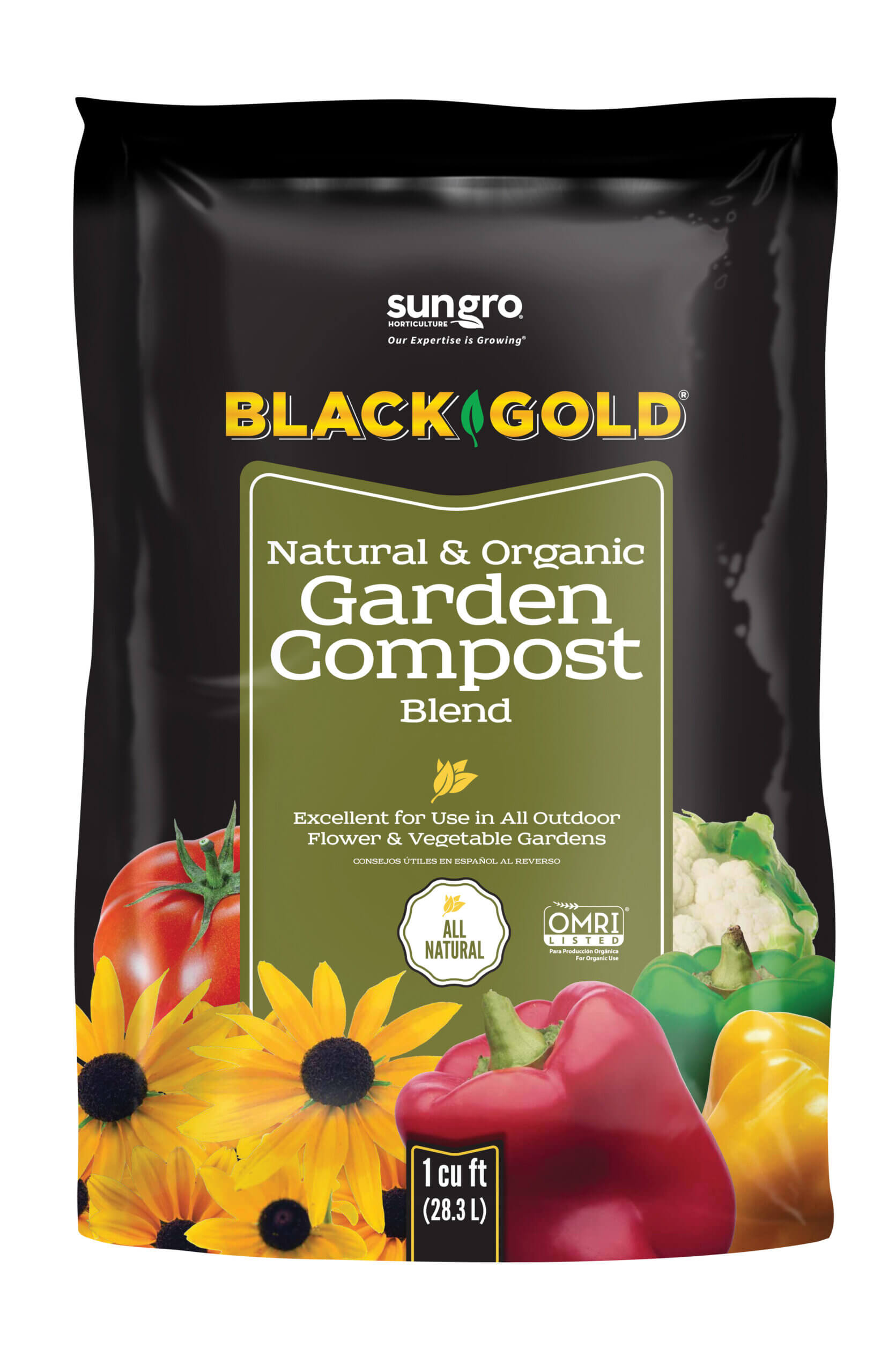 Mike Darcy – Black Gold