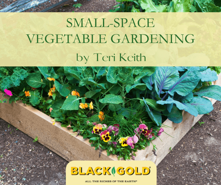 Garden Writers – Black Gold